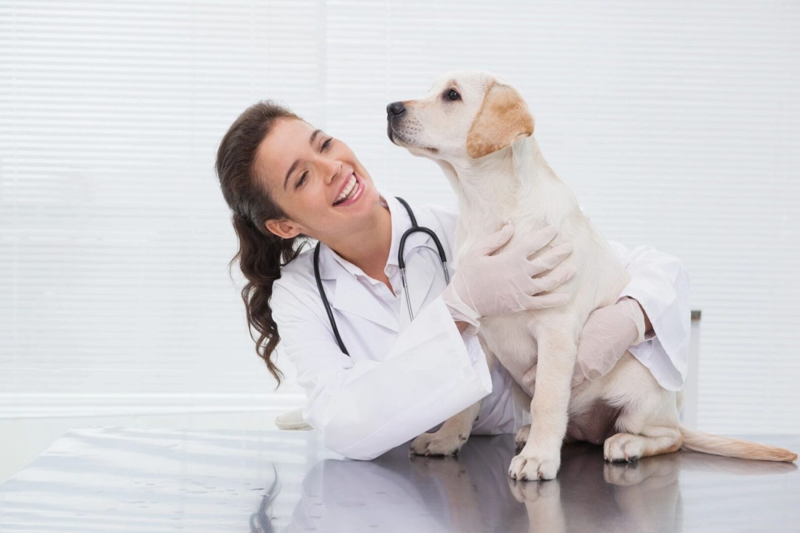 BIO | Veterinary Care | Veterinary Integrative Medicine